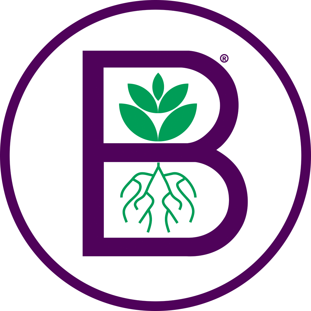 Company - Botanical Extracts Manufacturing | Manfacture botanical ...