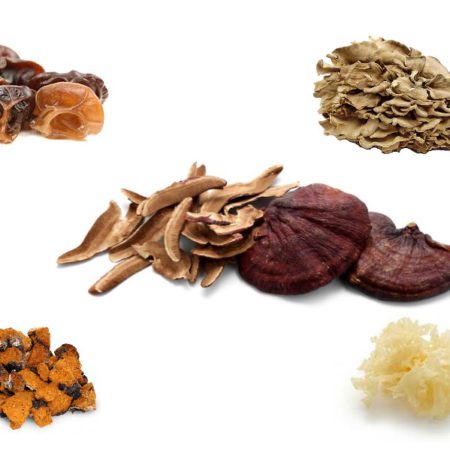 Our Products - Bio-Botanica