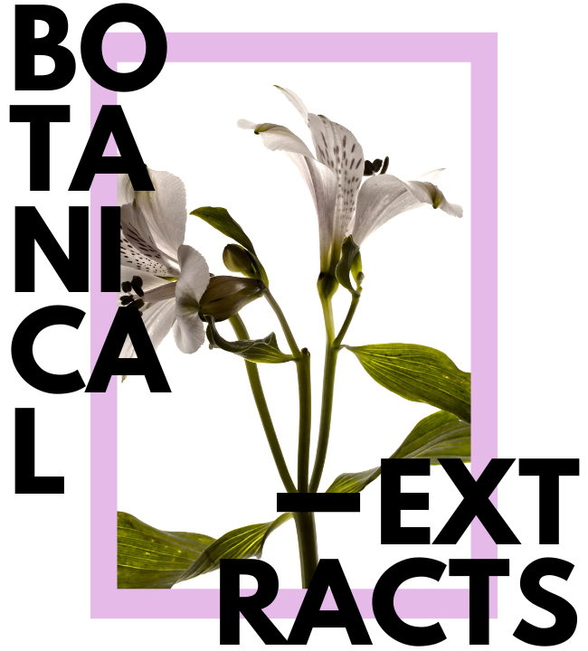 Premium Botanical Extracts Manufacturer: Food, Cosmetics & Care