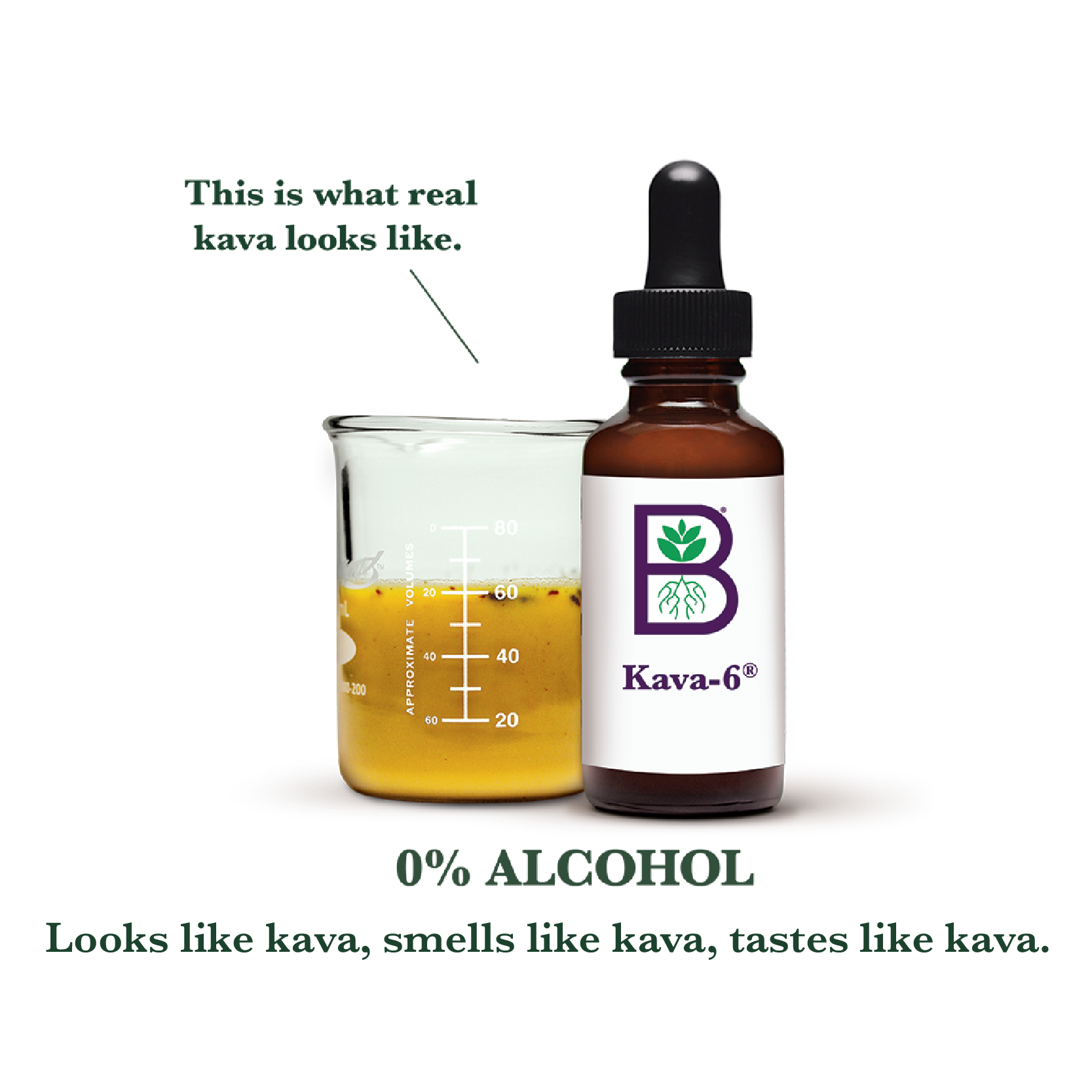 Kava-6 - Botanical Extracts Manufacturing | Manfacture botanical ...