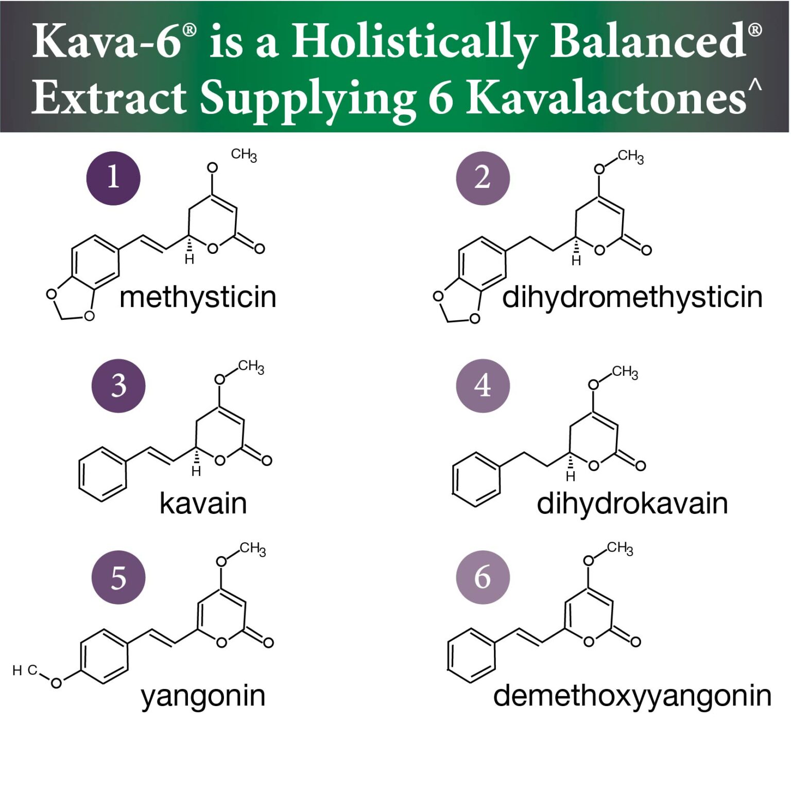 Kava-6 - Botanical Extracts Manufacturing | Manfacture botanical ...