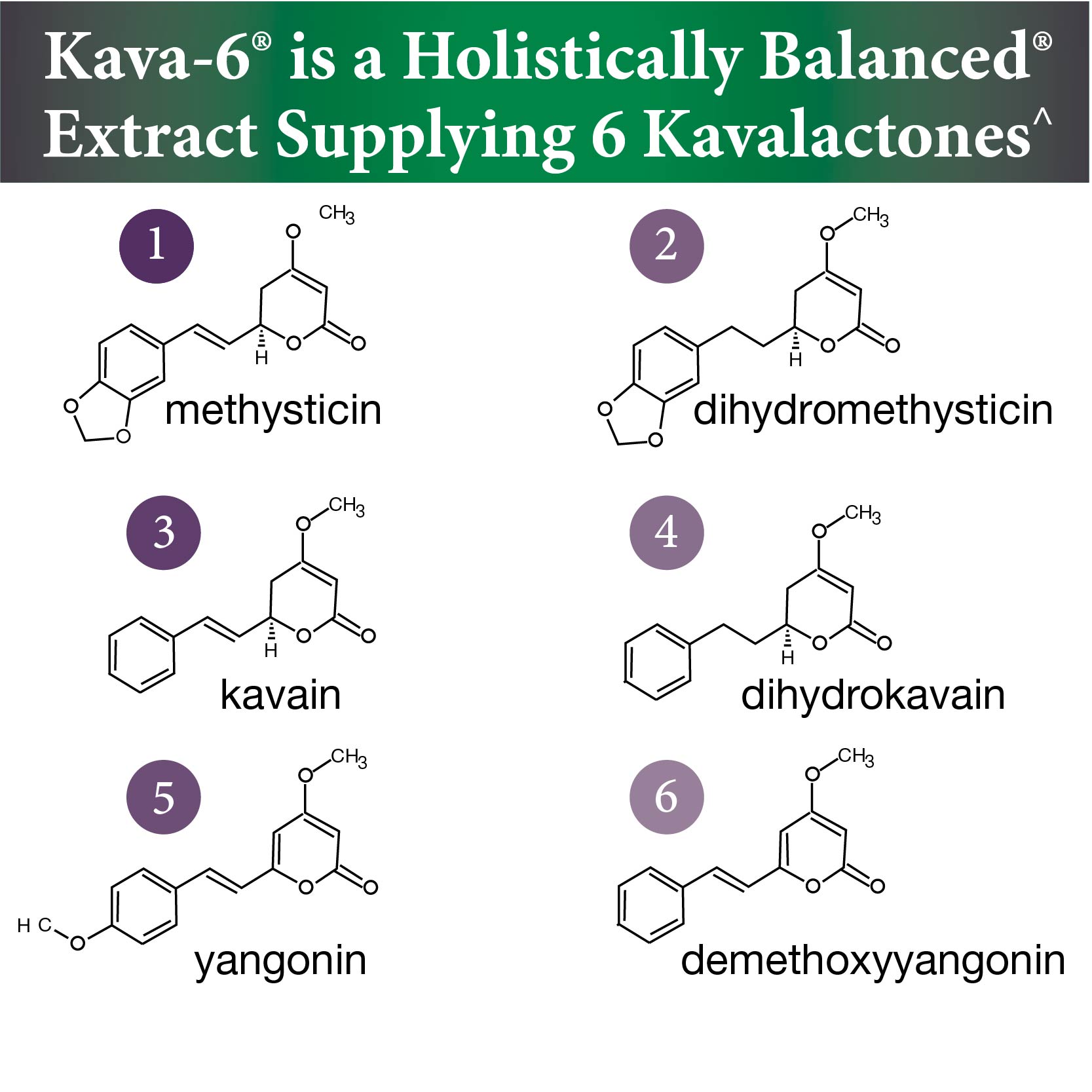 Kava-6 - Botanical Extracts Manufacturing | Manfacture botanical ...