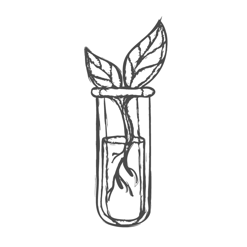 Nutra Plant® Complex II - Botanical Extracts Manufacturing | Manfacture ...