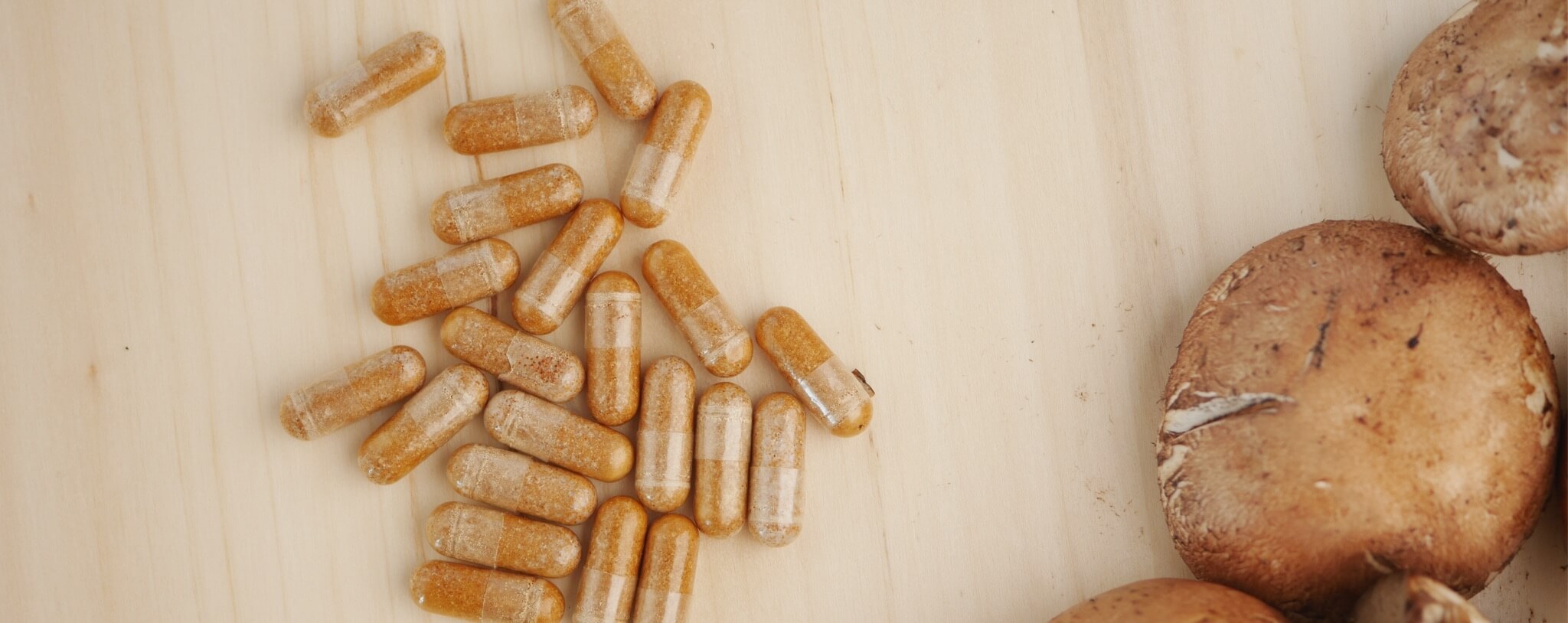 Mushroom Supplement Benefits | Premium Extracts for Innovative Wellness ...